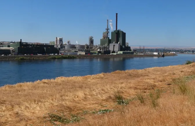 Clearwater Paper details transition to paperboard focus amid sales jump ...