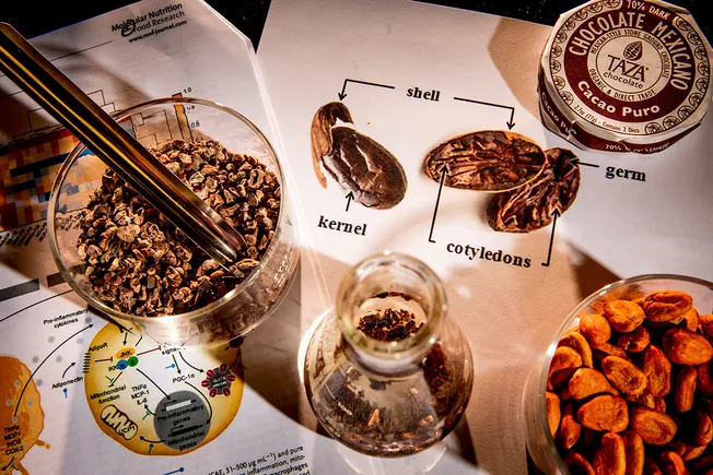 Cocoa bean shells could reverse health issues related to obesity, study ...