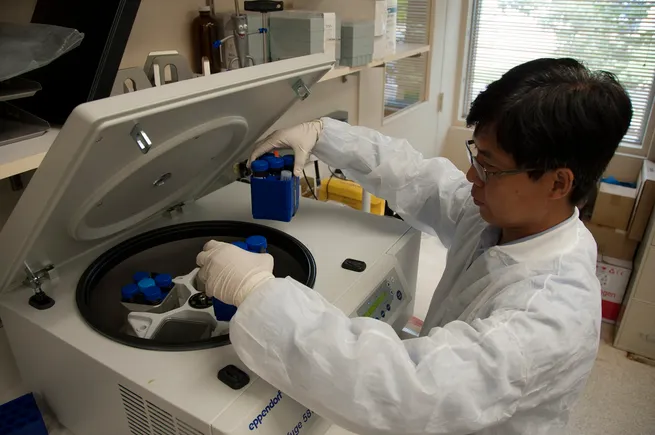 Top NCI scientist: 'Autologous' cell approach of firms like Kite, Juno ...