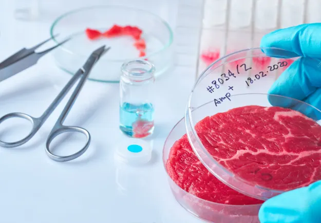 From prediction to production: A timeline of cultivated meat ...