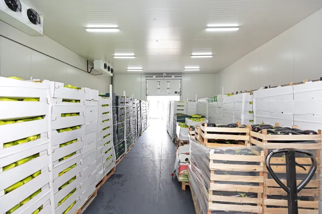 Food manufacturers feel the pinch on cold storage | Manufacturing Dive