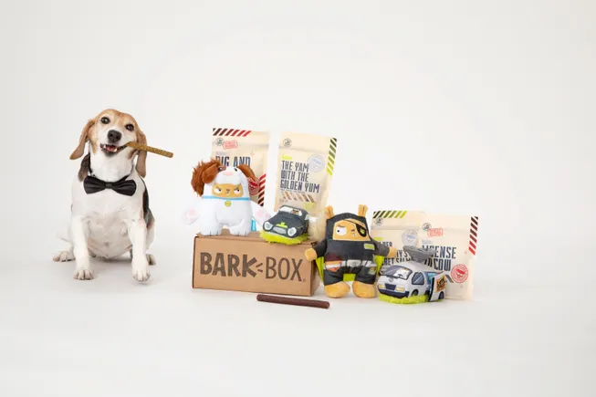 Bark teams up with Walmart as it builds out its wholesale network ...
