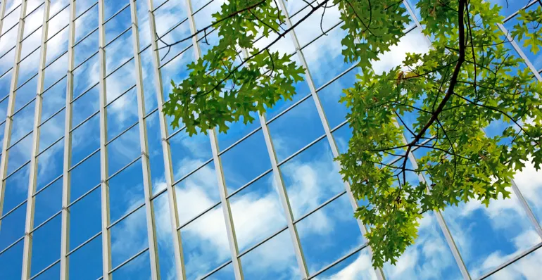World Bank, GEF launch Urban Sustainability Framework | Smart Cities Dive