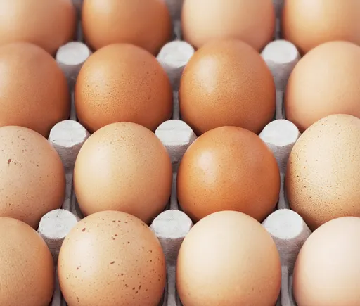 Survey: Save the Food campaign successfully raised waste awareness in ...