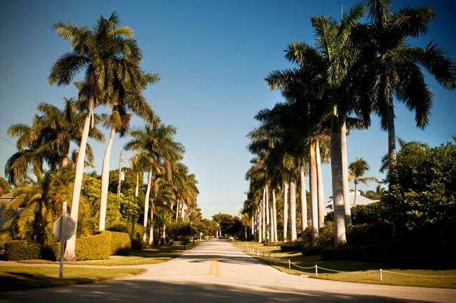 What’s next for Veransa, the new company consolidating Florida’s green ...