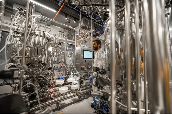 Nestlé works with Future Meat Technologies to explore cell-based meat's ...