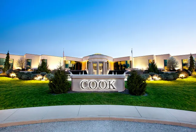 Cook Medical sells ear, nose and throat devices to C2Dx | MedTech Dive
