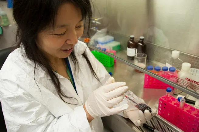 LabCorp inks licensing pact for Genfit liver test | MedTech Dive