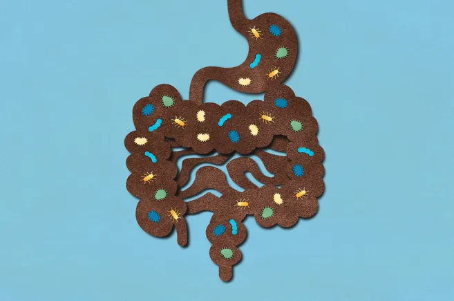 Pharma takes a gut check of microbiome drugs | PharmaVoice