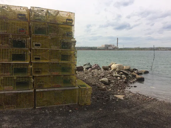 UPDATE: Wheelabrator moves closer to monofill expansion in ...