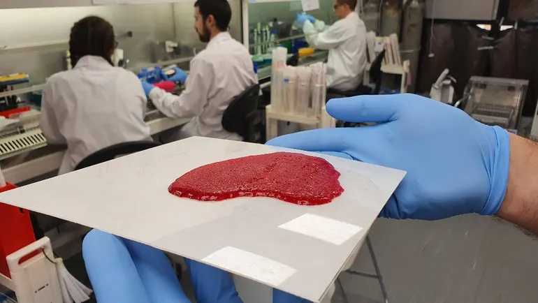 Meat-Tech 3D expands cultured meat with printed tissue and acquisition ...