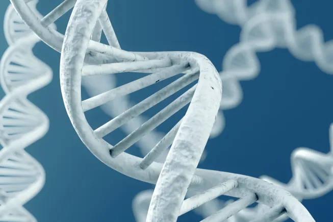 In historic reversal, FDA approves 23andMe genetic test for Bloom ...