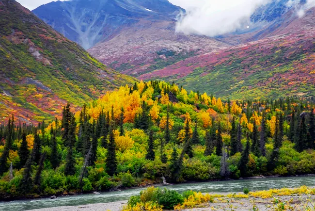 Granite wins $100M bridge project in Denali National Park ...