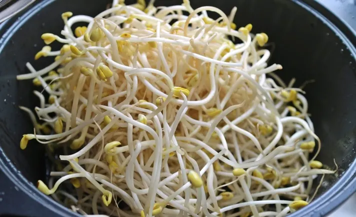 Sprouts are easily contaminated, but FDA finds most are safe | Food Dive