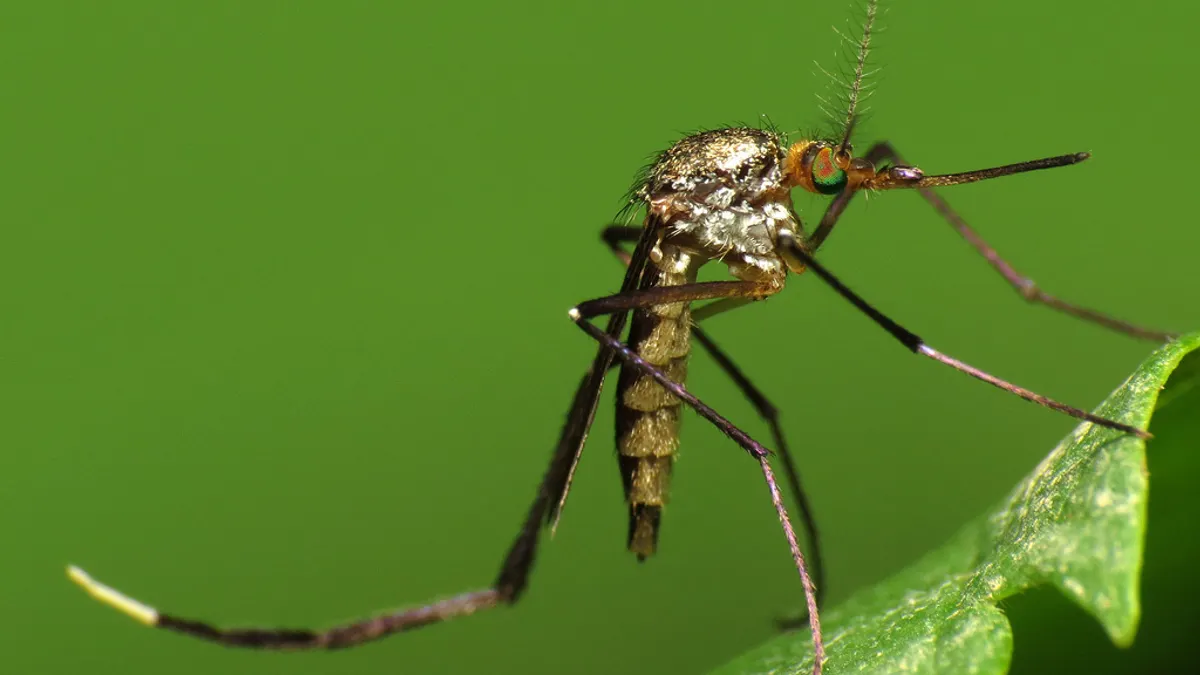 FDA approves first Zika diagnostic for emergency use | BioPharma Dive FDA approves first Zika diagnostic for emergency use | BioPharma Dive
