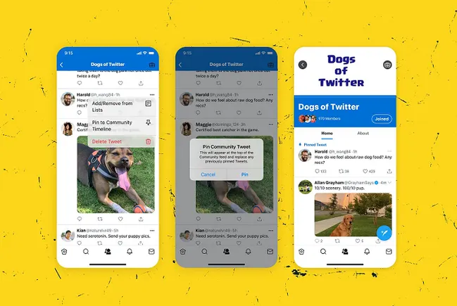Twitter Adds New Option to Pin Tweets Within Communities | Social Media ...